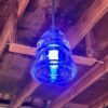 Blue Replacement Bulb 1 Candelabra Base - 120V 1.5w 135 lumen ...